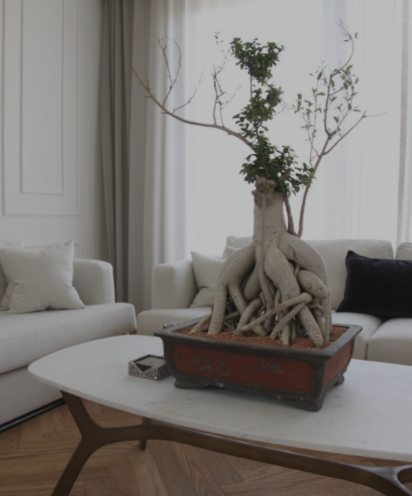 Ralee – Ralee Design House